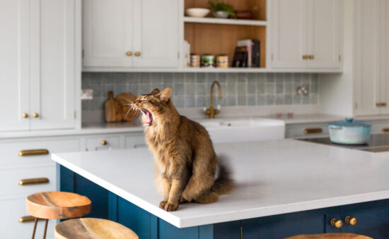 About – LAURA RUPOLO